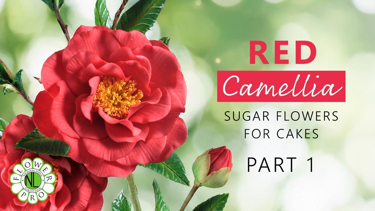 Camellia Sugar Flowers Part 1 — Katy Sue Designs