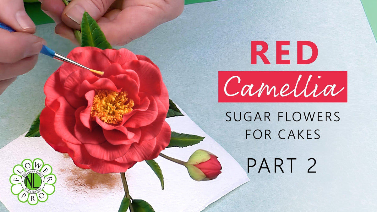 Camellia Sugar Flowers Part 2 — Katy Sue Designs