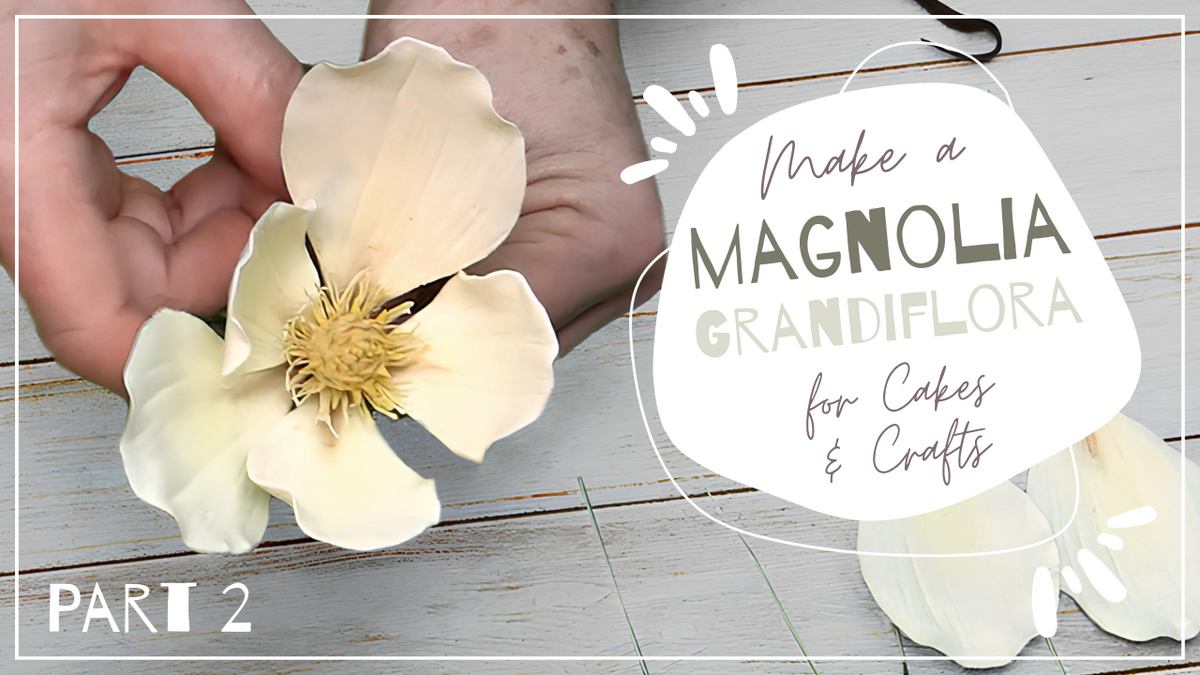 Magnolia Grandiflora For Cakes and Crafts Part 2 — Katy Sue Designs
