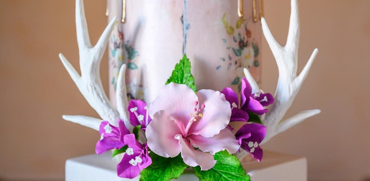 How to Make an Antler Cake by Design Team Member Veronica Seta — Katy ...