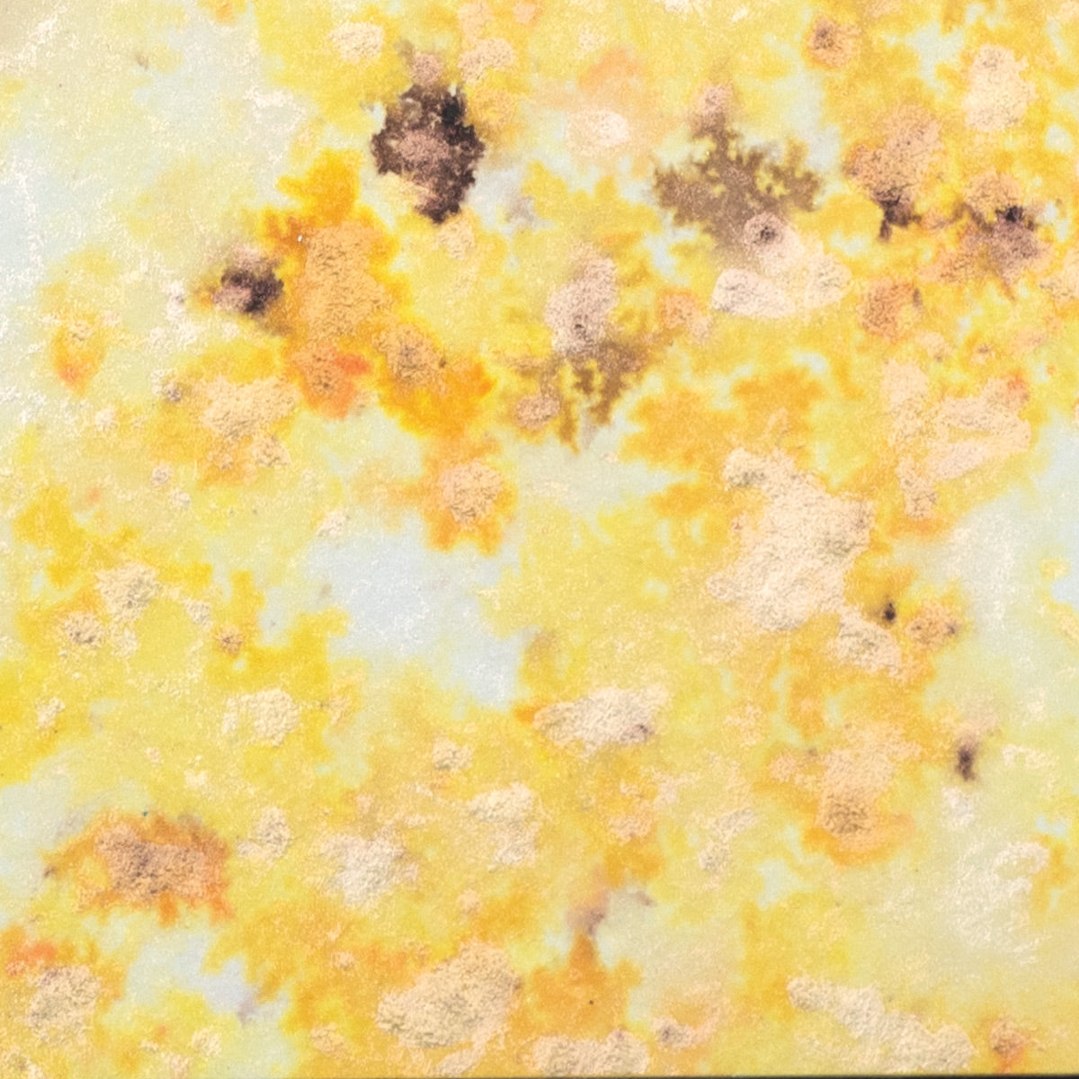 Cosmic Shimmer Pixie Powder Straw Yellow 30ml | Katy Sue Designs