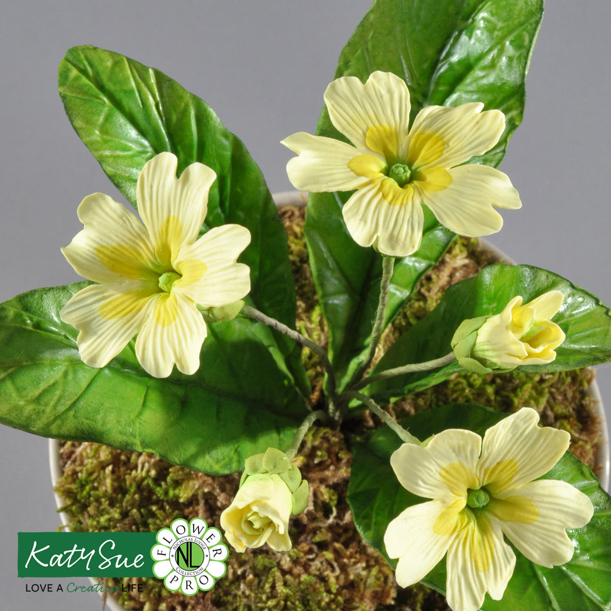 Flower Pro USB – Spring Master Class Collection Vol 1 — Katy Sue Designs